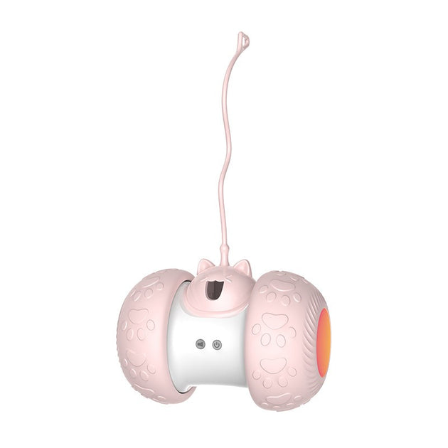 Led Light Cat Teaser – BEAMIFIED